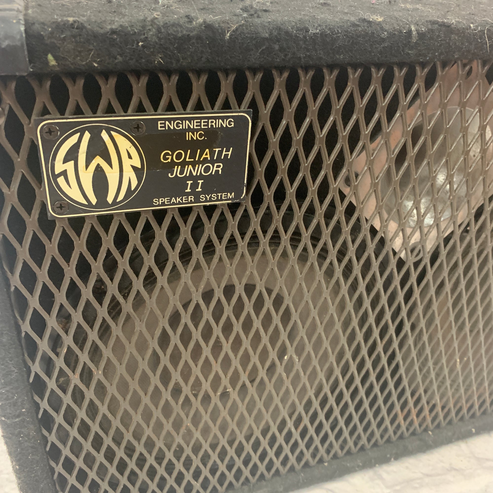 SWR Goliath Jr II 2x10 Bass Cabinet - Evolution Music