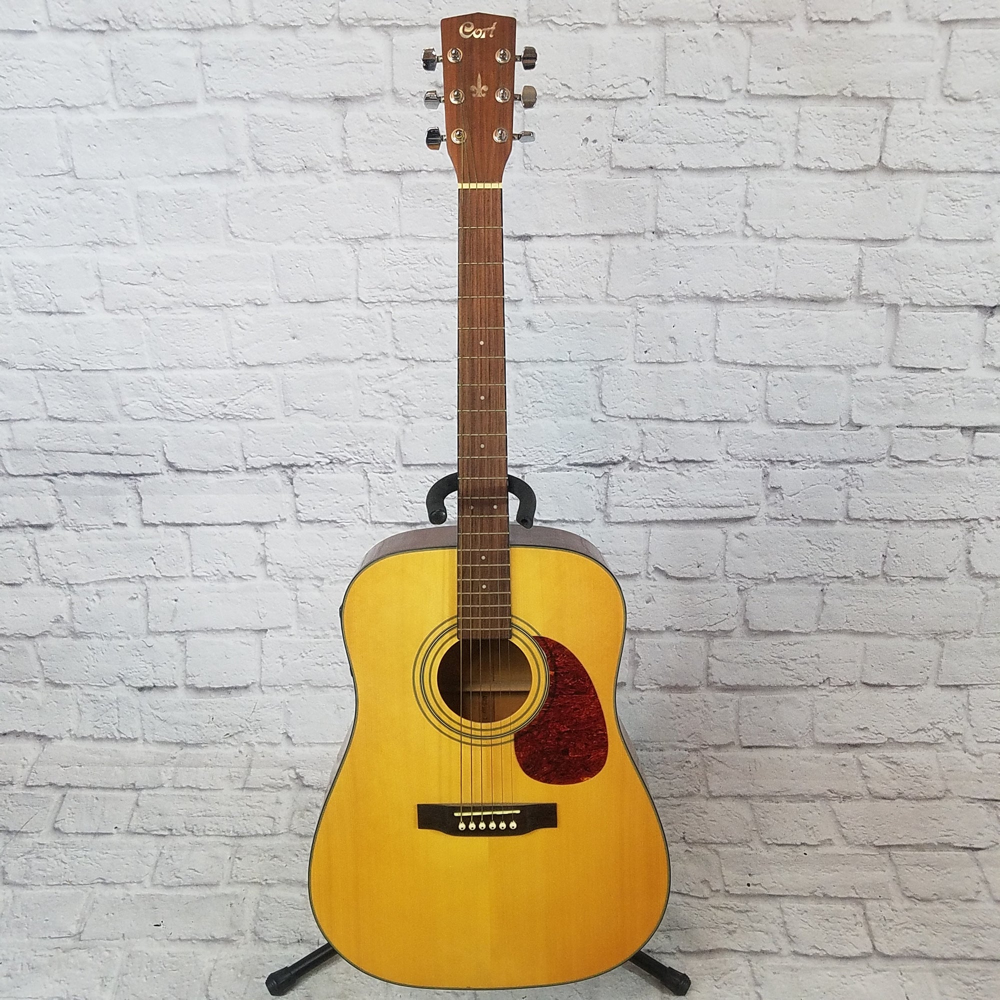 Cort EARTH-100F Acoustic Guitar - New Old Stock! - Evolution Music