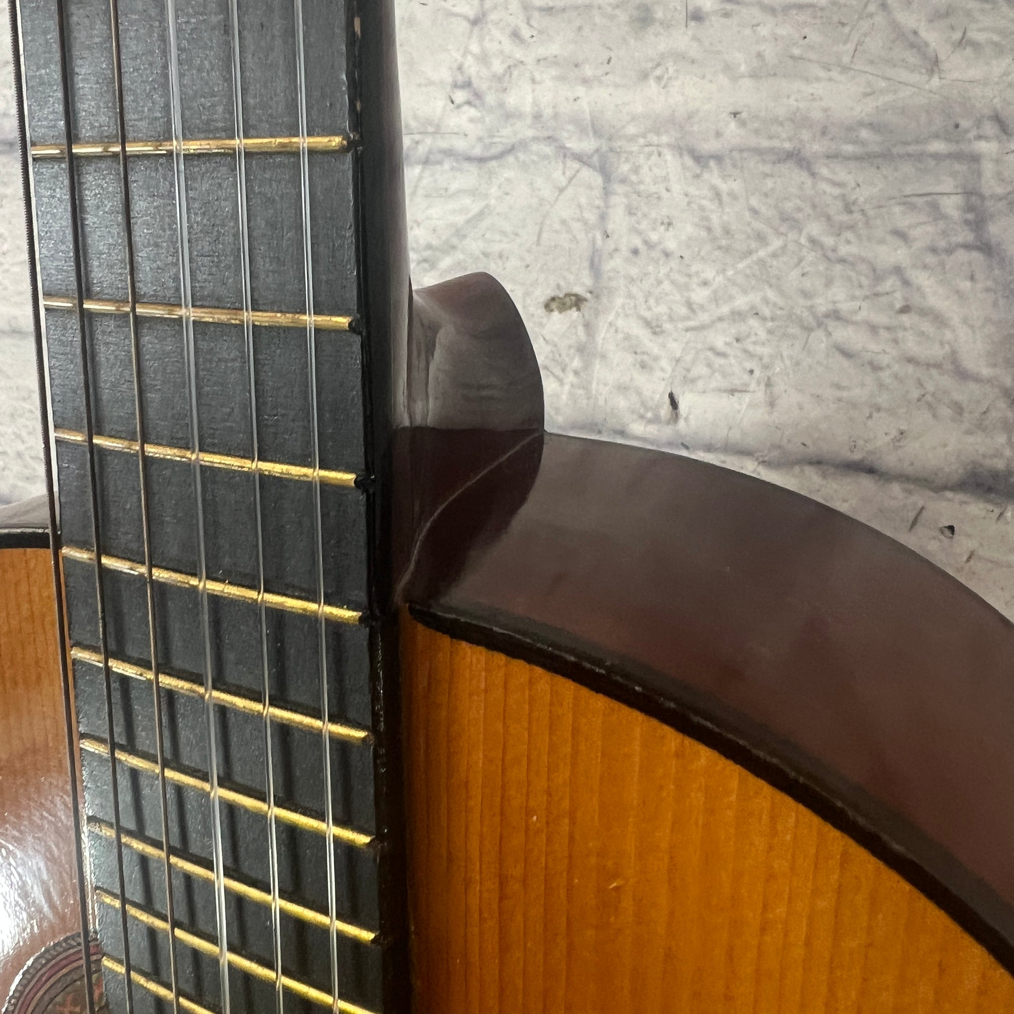 Prelude TC-24 Classical Acoustic Guitar - Evolution Music