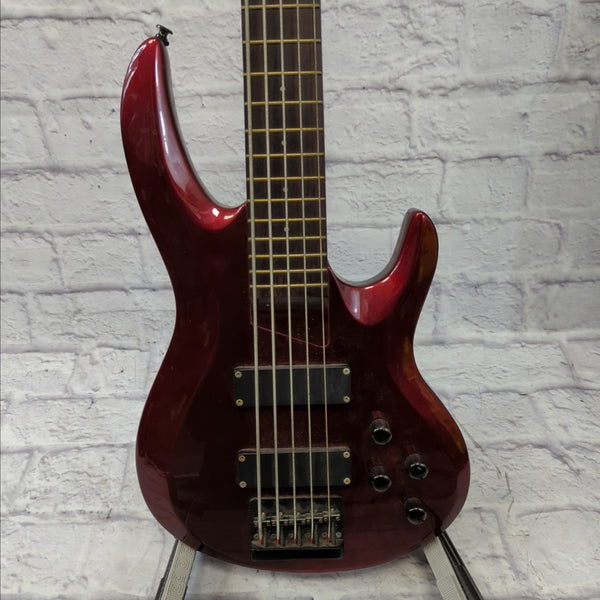 LTD B-105 5-String Bass Guitar with Case - Evolution Music