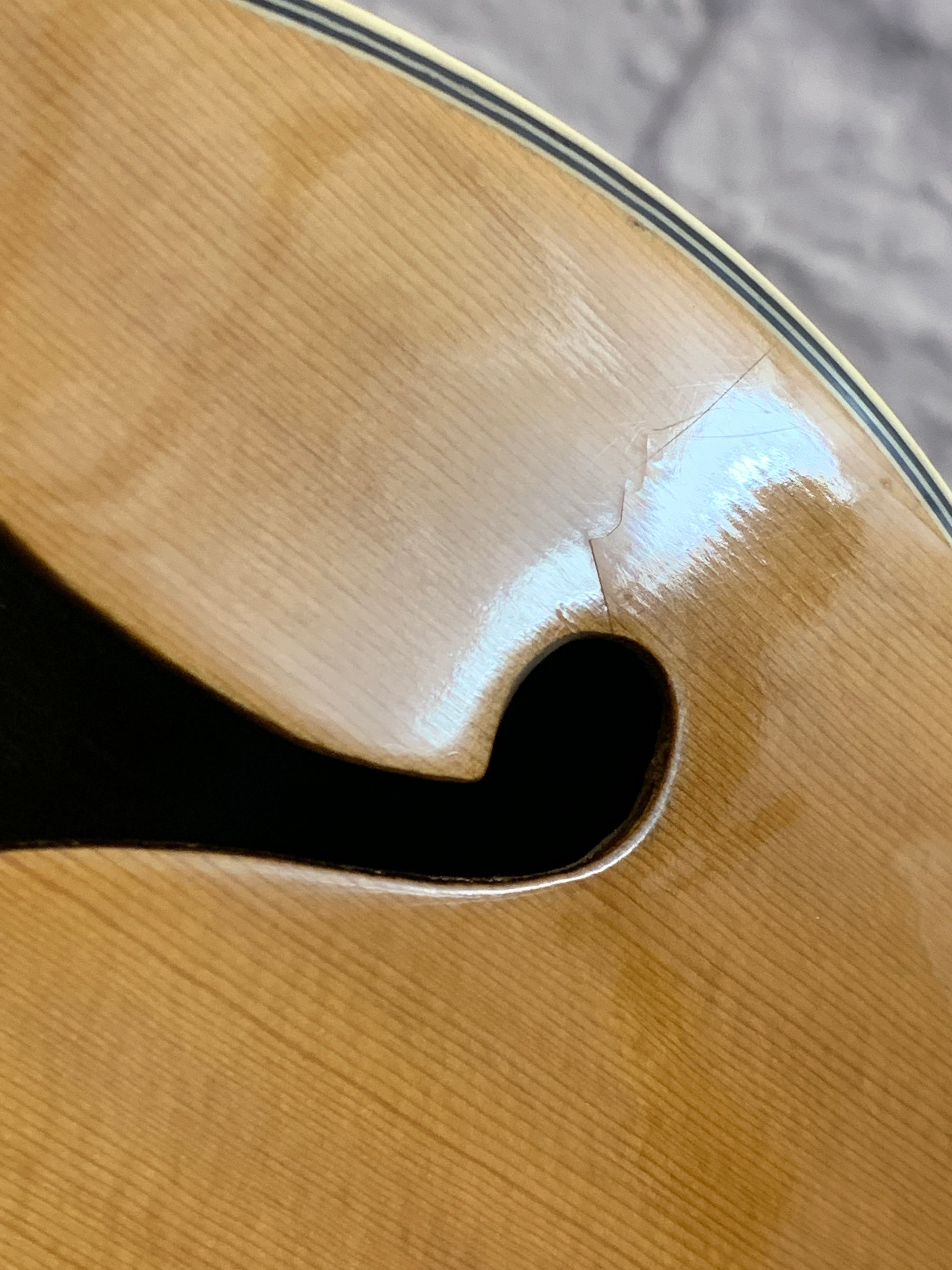 Vintage Hondo II A-Style Mandolin - Evolution Music