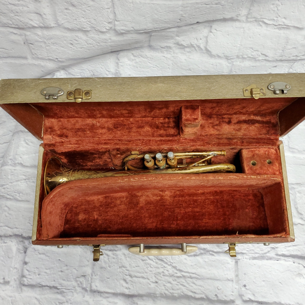 Windsor Cornet with Case - Evolution Music
