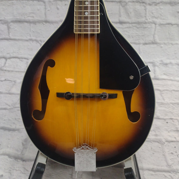 Rogue RM100A A-Style Mandolin with Bag - Evolution Music