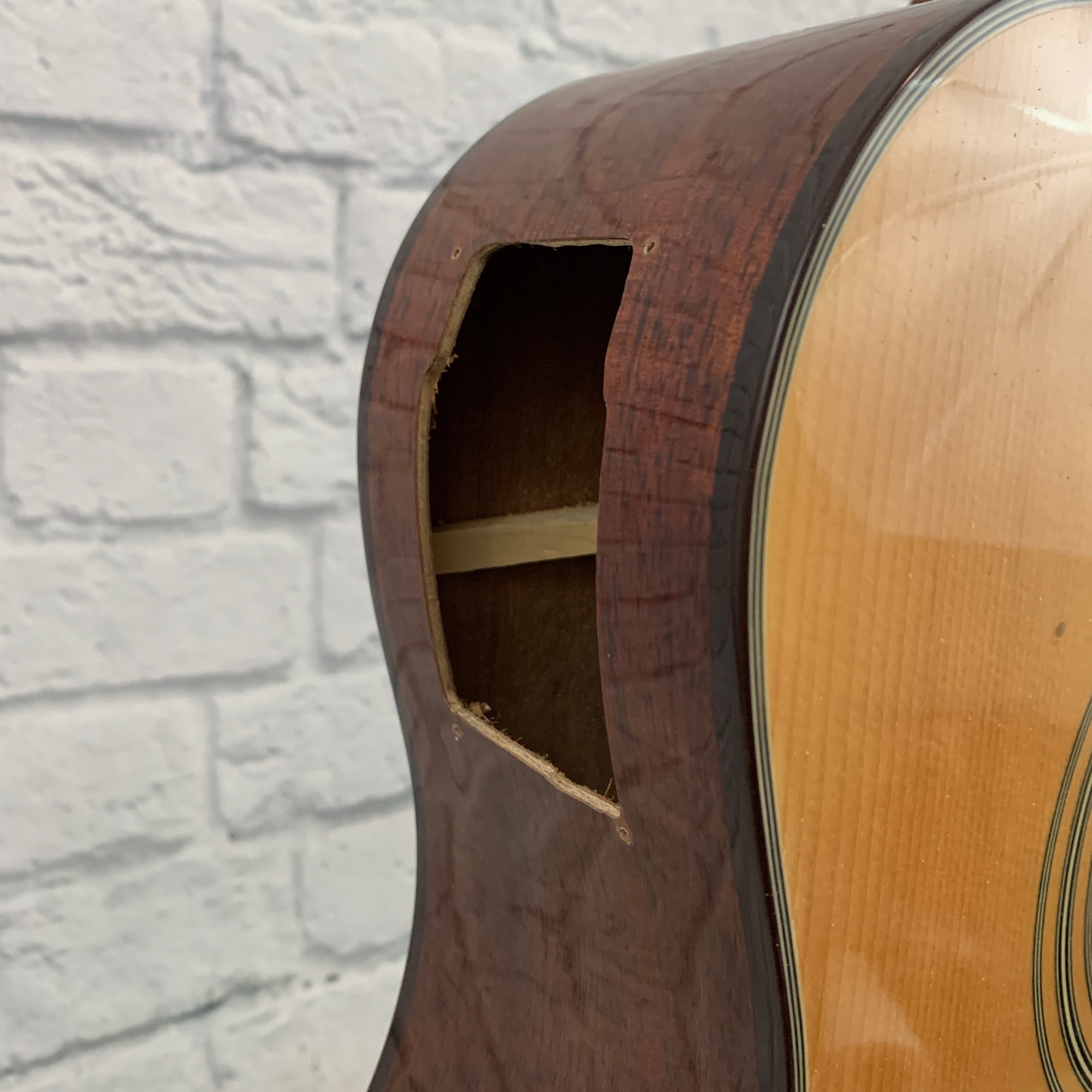 S101 Standard Electric Guitar - Evolution Music