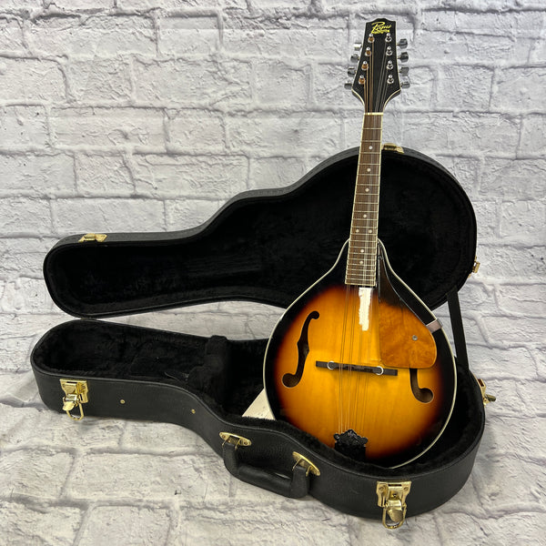 Rogue RM 100 Sunburst Mandolin w Case - Evolution Music